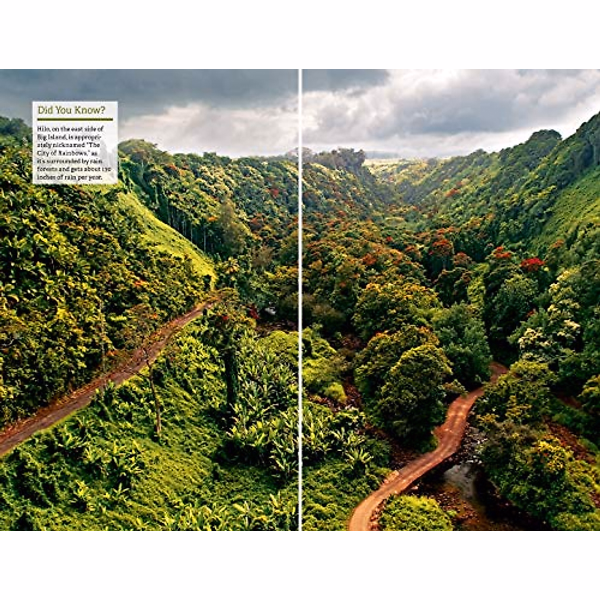 Fodor's Essential Hawaii (Full-color Travel Guide)