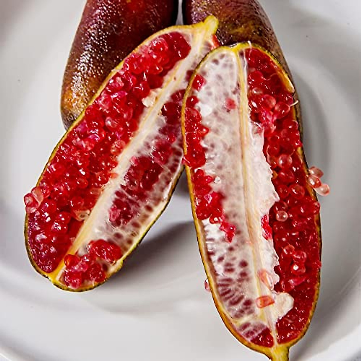 QAUZUY GARDEN 20 Seeds New Mixed Finger Lime Seeds Green Red Pink Non-GMO Caviar Lime Fruit Seeds- Delicious Nutritious Fruit - Easy to Grow & Harvest