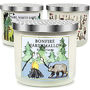 3 Pack Candles Gifts for Women, 13.4Oz Large 3 Wick Scented Candle, Candles for Home Scented, Aromatherapy Gift Set for Birthday, Natural Soy Wax with Essential Oils for Stress Relief