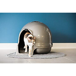 Petmate Booda Clean Step Cat Litter Box Dome (Made in the USA with 95% Recycled Materials)- Brushed Nickel