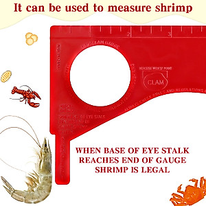 Kathfly 4 Pcs Dungeness Crab Gauge Measure Clam Measuring Tool for Multi Shrimps Lobster Shellfish, Red