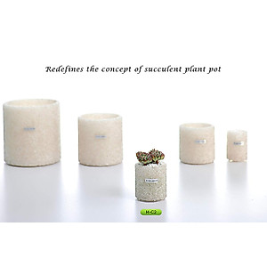 FLORASHOW Succulent Pots,White Crystal Materials Mini 3.26 inch Succulent Planter Pot, Ultra-Breathable, Water-Permeable Suitable for Succulents, Cactus, Smaller Plants and More