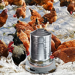 Dreyoo Poultry Waterer Drinker Heated Base, Chicken Water Heater 125 Watts for Winter Deicer Heated Base, Pet Water Heater for Metal Poultry Founts (1)