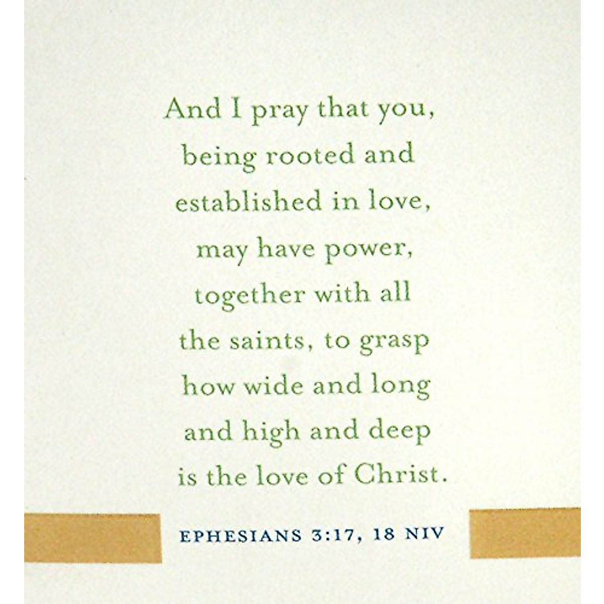 Dayspring Baptism Card for Baby Boys (Dove Cross) (0399RZA1002)