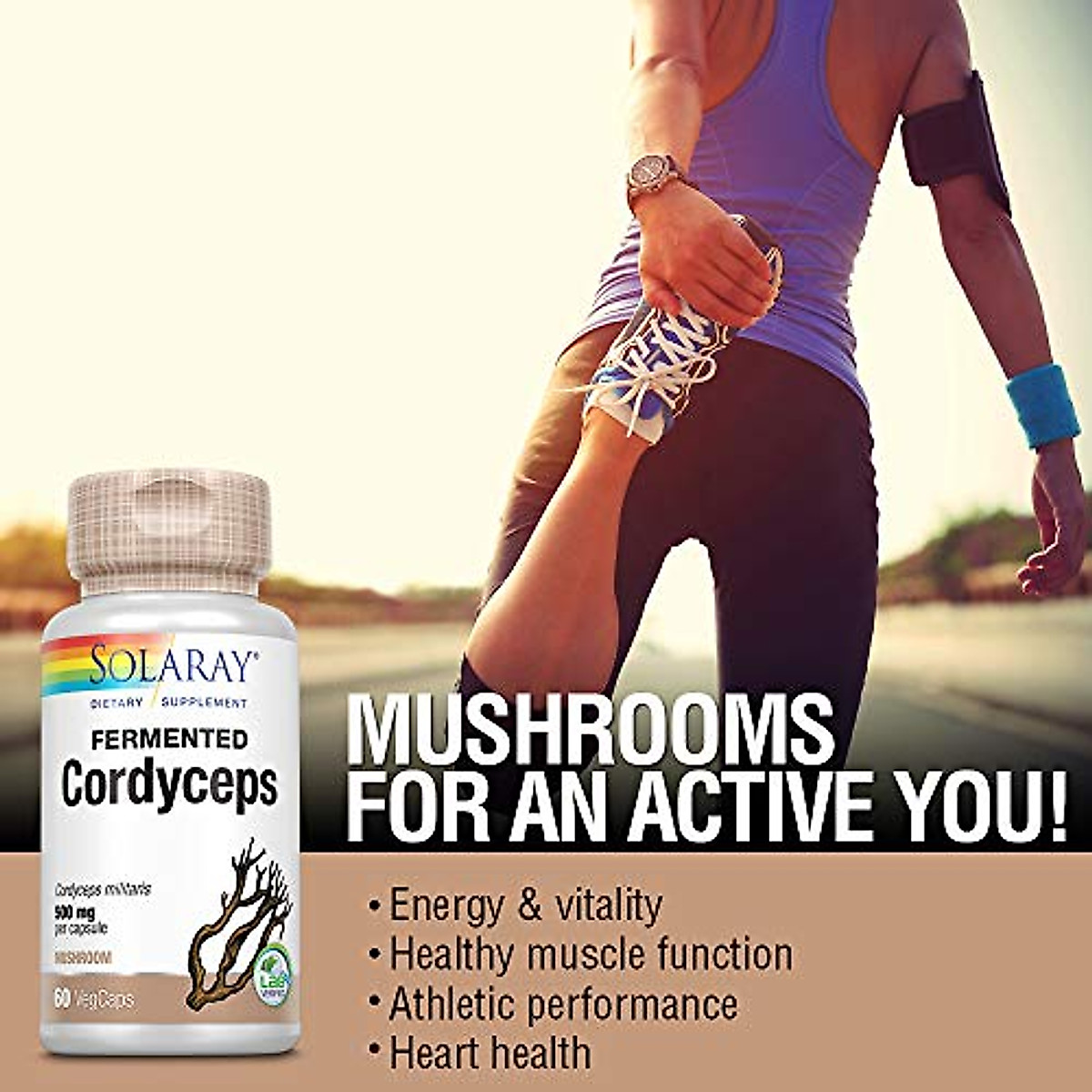 SOLARAY Fermented Cordyceps Mushroom 500 mg | Healthy Heart Function, Energy & Stamina Support | 60 VegCaps, 30 Servings