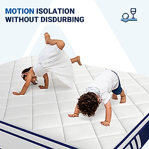 Avenco Queen Size Mattress, 10 Inch Hybrid Queen Mattress in a Box with Memory Foam & Pocket Coils, Medium Firm Queen Bed Mattresses CertiPUR-US Certified & 10 Year Warranty