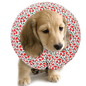 Purrrfect Life Protective Inflatable Collar for Dogs and Cats - Soft Pet Recovery Collar Does Not Block Vision, Prevents Pets from Touching Stitches, Wounds and Rashes (Floral - 1, Neck 6" - 8")