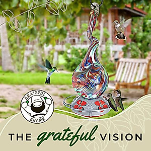 Gnarly Hummingbird Feeder by Grateful Gnome - Large Hand Blown Stained Glass Feeder for Garden, Patio, Outdoors, Window with Accessories S-Hook, Ant Moat, Brush - 16 fl oz, Gnarly Rainbow Design