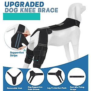 Petdream Dog Knee Brace with Vest, Support Dog Acl Brace for Hind Leg Torn, Adjustable Dog Rear Leg Braces for Cruciate Ligament Injury, Joint Pain Relief and Arthritis (Double, 2)