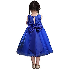 TENTIDE Baby Flower Girls Formal Dress Sapphire Blue Holiday Party Pageant Lace Sleeveless A-line Bow Tulle Dress (Blue-1, 6-12M)