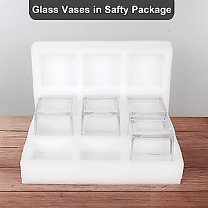 6 Pack Clear Square Glass Vases, Planter Terrarium Flowers Vase Candle Holder for Home,Garden, Wedding Centerpiece Decorations and Formal Dinners (Width 4", Height 4")