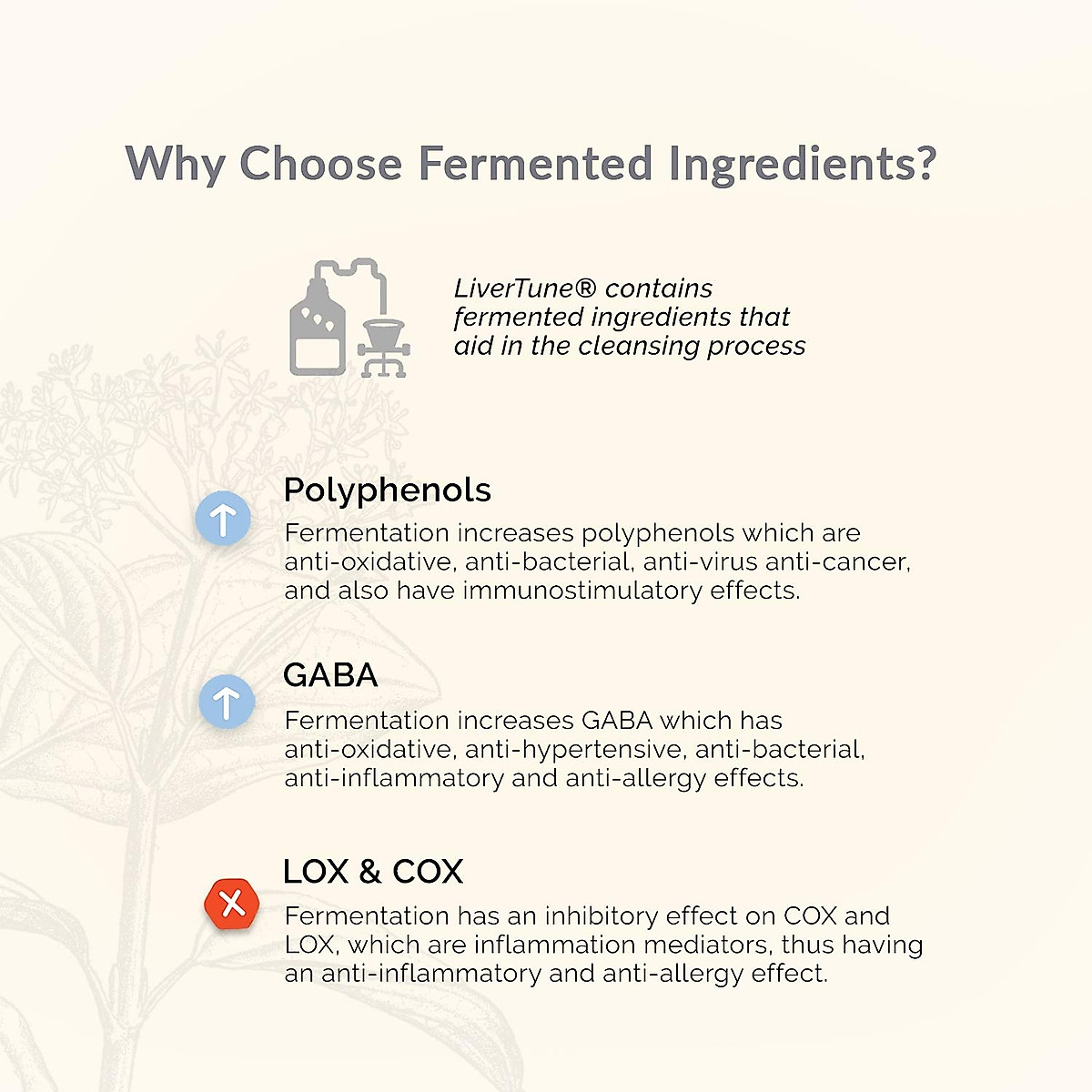 LiverTune - Certified Organic Naturally Fermented Liver Support