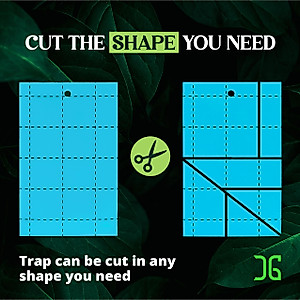 Catchmaster GRO Blue Sticky Trap 72PK, Outdoor Insect Trap, Protect Live Plants Indoor, Bug, Thrips, & Fruit Fly Trap, Glue Traps for Home, Farm, Garden, Hydroponics, & Greenhouse, Pest Control