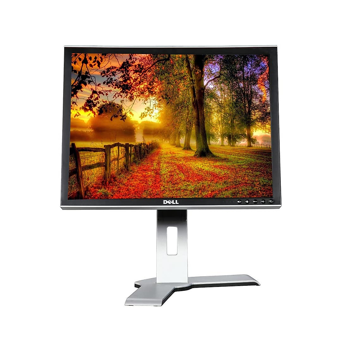 Dell 20 Inch Computer Desktop Tower LCD 20 Inch Monitor, VGA, DVI Ports, 5ms Response time, 1680 x 1050 Resolution, 170° /178° Viewing Angle (Renewed)