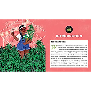 The Joy of Cannabis: 75 Ways to Amplify Your Life Through the Science and Magic of Cannabis (Coffee Table Book, Adult Activity Book, or Self-Care Gift for a Happy High)