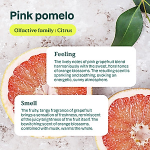 ATTITUDE Dishwashing Liquid, EWG Verified, Vegan Dish Soap, Plant Based, Naturally Derived Products, Pink Grapefruit, Bulk Refill, 67.6 Fl Oz