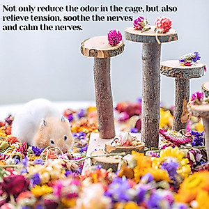 PINVNBY Hamster Bedding, 7OZ Natural Flower Small Pet Bedding for Hamsters, Gerbils, Mice, Lemming, Degus