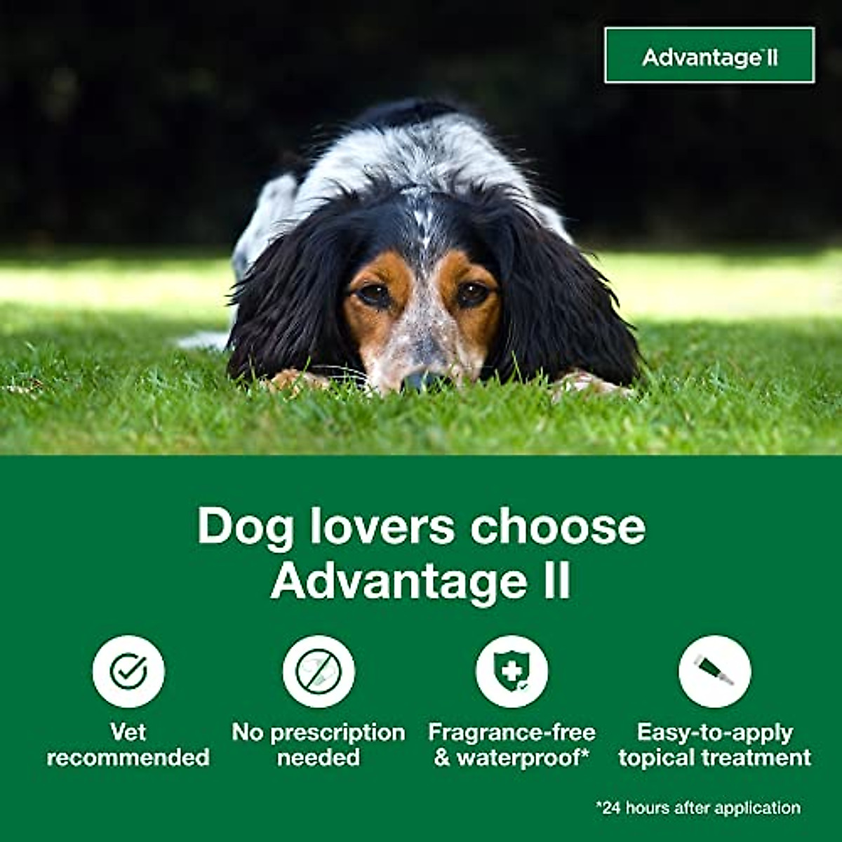 Advantage II Medium Dog Vet-Recommended Flea Treatment & Prevention | Dogs 11-20 lbs. | 4-Month Supply