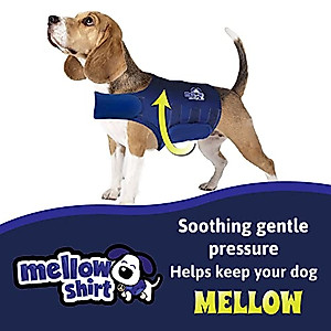Mellow Shirt Dog Anxiety Calming Wrap, X-Small, Radiant Orchid