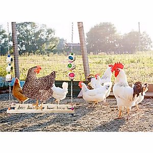 AFXOBO 4Pcs Bird Chicken Pet Toy Net Bag Swing Chewing Pet Toy Chicken Bird Cage Accessories *TUQ0073