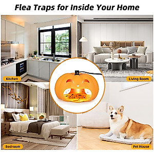 Flea Traps for Inside Your Home,2 Pack Flea Light Trap for Indoor with 6 Light Bulbs & 10 Flea Trap Refills Moth Traps Flying Insect Trap Bed Bug Traps for Fleas Moths Flies Mosquitoes Cockroaches