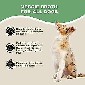 Brutus Broth Instant On The Go Vegetable Powder for Dogs - Vegetable Powder with Omegas 3, 6 & 9 & Turmeric - Human Grade Dog Food Toppers for Dry Food & Picky Eaters - 10 Stick (Salmon Flavor)