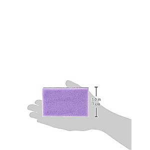 Scotch-Brite Fiber with Sponge, Polyurethane, Purple (Extreme), 2 Unidad