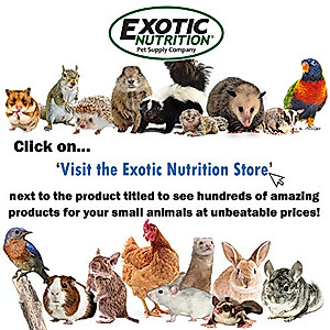 Silent Runner 12" with Autoclean | Sugar Glider Wheel