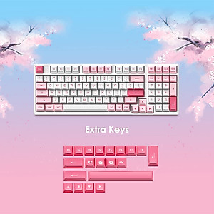 Akko Prunus Lannesiana 3098 98-Key RGB Hot-swappable Mechanical Gaming Keyboard, 2.4G Wireless/Bluetooth/Wired with PBT Double-Shot Keycaps for Mac & Win (3098B, Jelly Blue Switches)