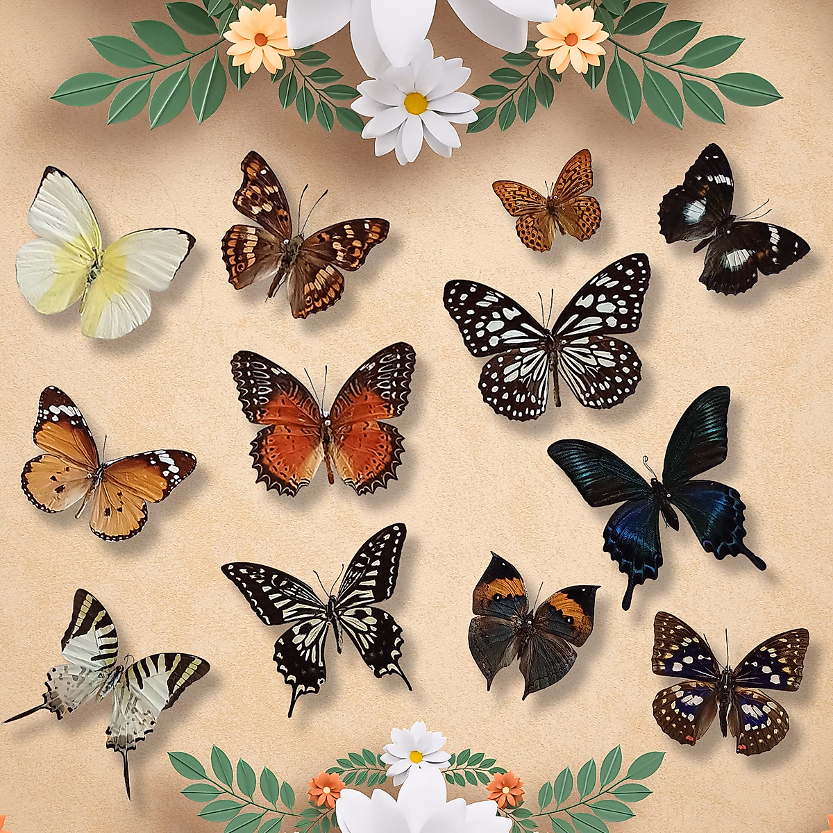 Pokiphip 12 Pcs Taxidermy Butterfly, Real Butterfly Taxidermy Natural Unmounted Butterfly Specimen, Exquisite Collection of Real Butterflies for Home Decor and Crafts