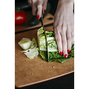 Dexas Natural Fiber Dishwasher Safe Composite Cutting Board, 14.3" x 11.2"