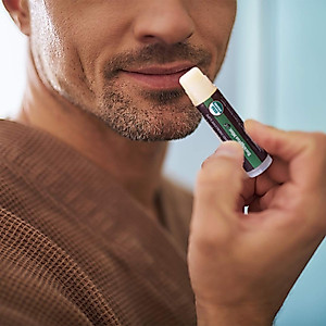 USDA Organic Lip Balm 4-Pack by Earth's Daughter- Eucalyptus Mint Flavor, Beeswax, Coconut Oil, Vitamin E - Best Lip Repair Chapstick for Dry Cracked Lips.