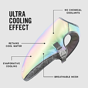 Canada Pooch Dog Cooling Vest - Evaporative Cooling Vest for Dogs with Breathable Mesh Material & Reflective Lining, Adjustable Dog Cooling Vest (26 (25-27" Back Length), Rainbow)