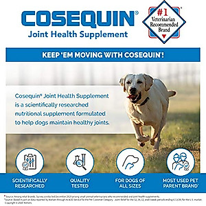 Cosequin DS Plus MSM Professional Line for Dogs, 60 soft chews