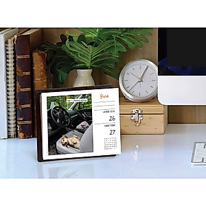 Crusoe the Celebrity Dachshund 2021 Box Calendar (Dog Breed Calendar)