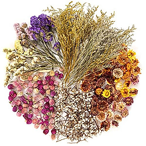 MEWTOGO 10.5Oz Hamster Bedding Decor - Natural Edible Dried Flowers Herb for Habitat Decor of Gerbils Hamsters Degus Mice Reptiles Bunny and Other Small Animals