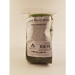 EZ-Botanicals Fresh Mood Moss Perfect for Terrariums and Bonsai