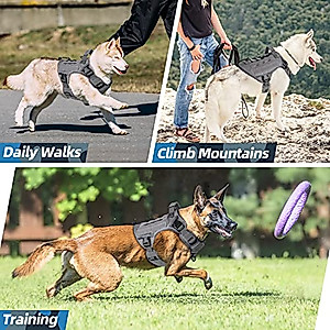 WINGOIN Gray Large Tactical Dog Harness No Pull Adjustable Reflective K9 Military Gray Dog Vest Harnesses with Easy Control Handle for German Shepherd Service Dog (L)