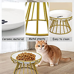 BNOSDM Raised Cat Dish Ceramic Shallow Cat Bowl with Gold Stand Elevated Pet Food Plate for Indoor Cat Kitten Small Dogs