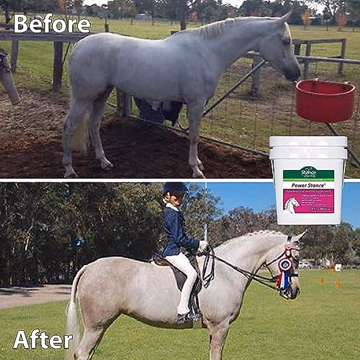 Stance Power Powdered Coconut Oil Horse Supplement - May Support Coat Condition, Digestive Health and Stamina, GMO & Sugar Free - 15 lb