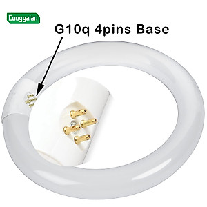 COOGGALAN 8 inch T9 22 Watts Round Light Bulbs FC8T9/DX Circular Fluorescent Light Bulb, FC8T9/DL 22W Circline Bulb, Daylight 6400K, G10q 4 Pin Prong Base, 2 Pack