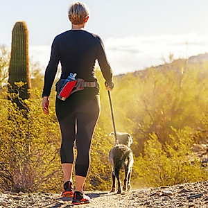 Heavy Duty Genuine Leather Dog Collar and Leash Set - 5ft Soft and Durable Leash and Collar Set with Metal Buckle - Adjustable Dog Collar Set, Compatible for Small to Medium Dogs