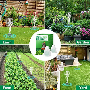 Mole Repellent - 24 Pack Groundhog Repellent Outdoor, Gopher Repellent, Vole Repellent, Mole Repellent for Outdoor Garden Yard Lawn, Mole Deterrent, Chipmunks Repellent