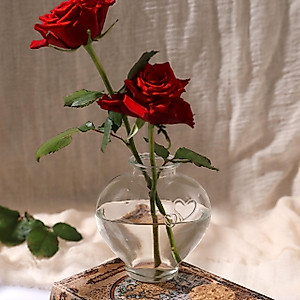 Magic Season Decorative Glass Bottles with Cork Stoppers (12 fl oz. Heart-Shaped Bottles / 2 Pcs)