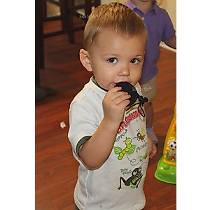 Bebe Silicone Baby Teether Toys & Gum Massagers, 1 Hard & 1 Soft Cookies & Raspberry