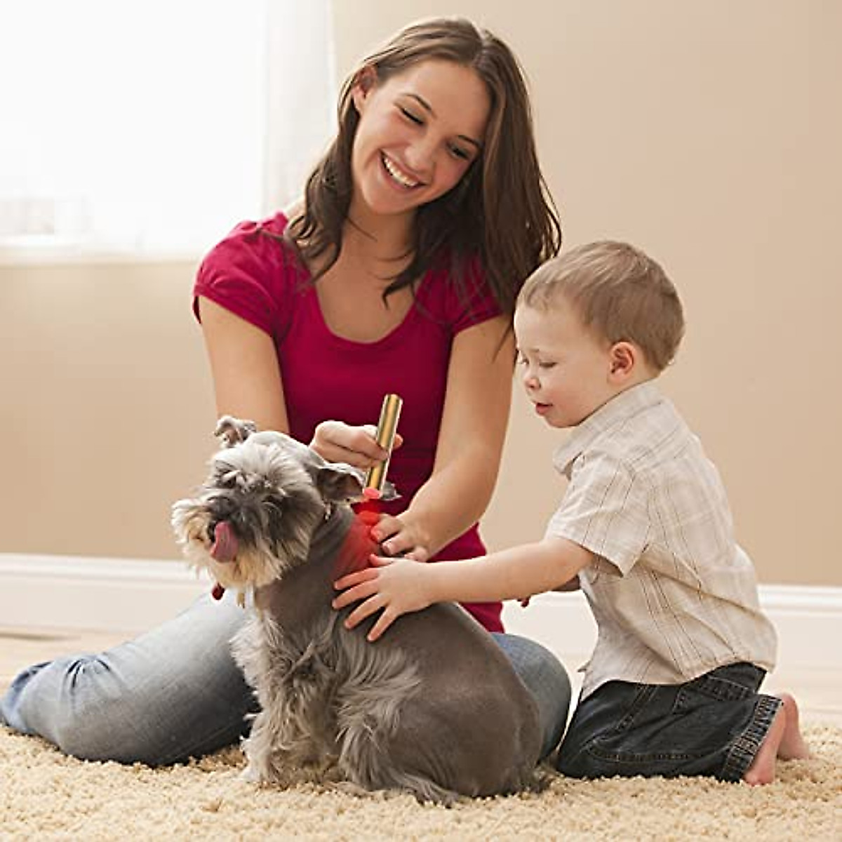 iKeener Vet Device for Pets,Red Light Therapy for Pain Relief,Muscle & Joint Pain from Dog Arthritis,Handheld Infrared Light with 660nm & 850nm Wavelengthsm for Dogs,Cats,Horses (Gold)