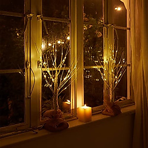 Lighted Birch Tree, 2pcs 24”H Tabletop Tree Light with Burlap Decor, Pre-Lit 24 LED Warm White Lights, Timer Function, Money Tree Perfect for Spring Home Centerpiece Decor, Indoor&Outdoor Use