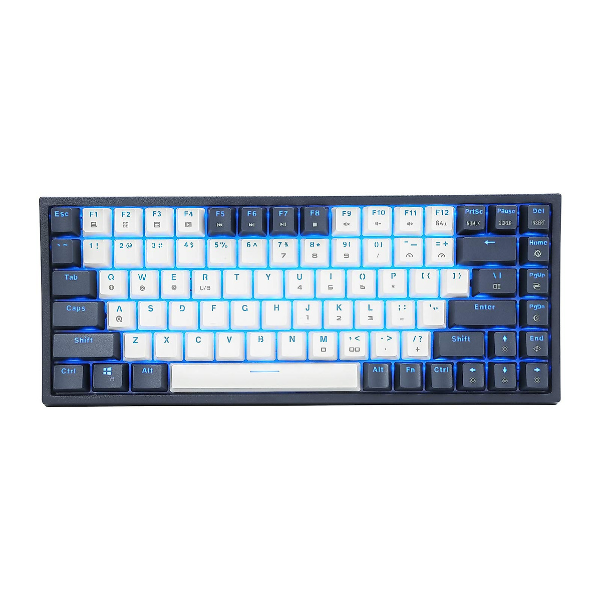 HUO JI CQ84 Wireless Mechanical Gaming Keyboard, Programmable RGB Backlit, Bluetooth, Red Switches, 84 Keys, Wired 60% Keyboard for iPad, iMac Android/Windows Tablet Laptop Desktop, White Blue