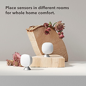 ecobee SmartSensor 2 Pack, White