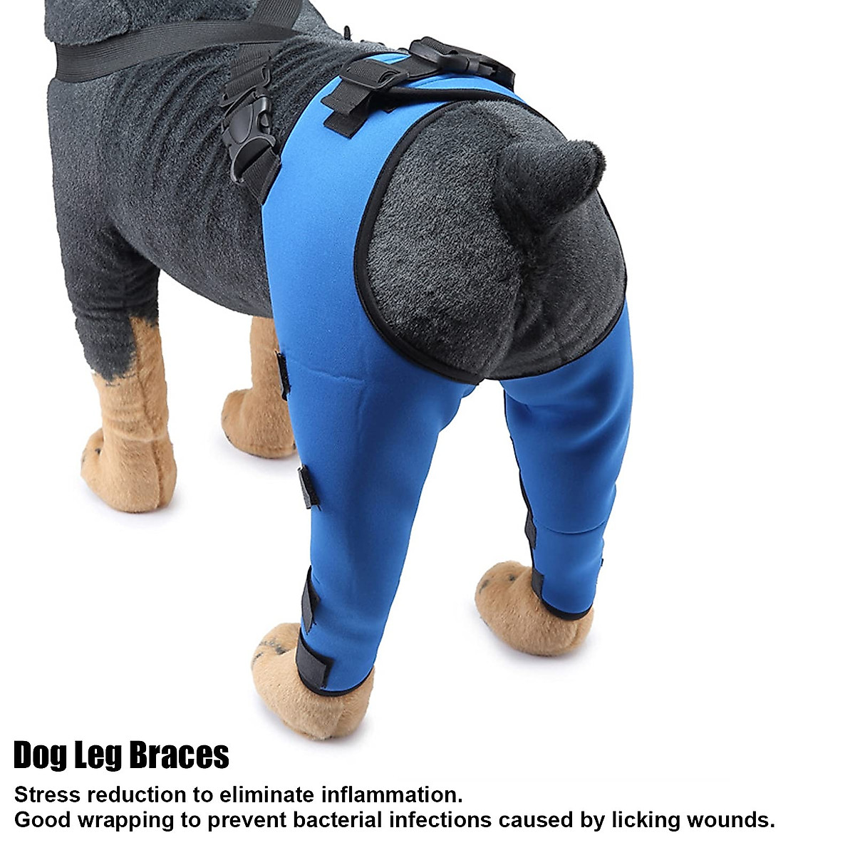 Tnfeeon Dog Knee Brace, Leg Brace Ligament Injury Joint Pain and Muscle Sore Adjustable Rear Support for Knee Dislocation Pet Knee Brace Recommended for Dog (S)